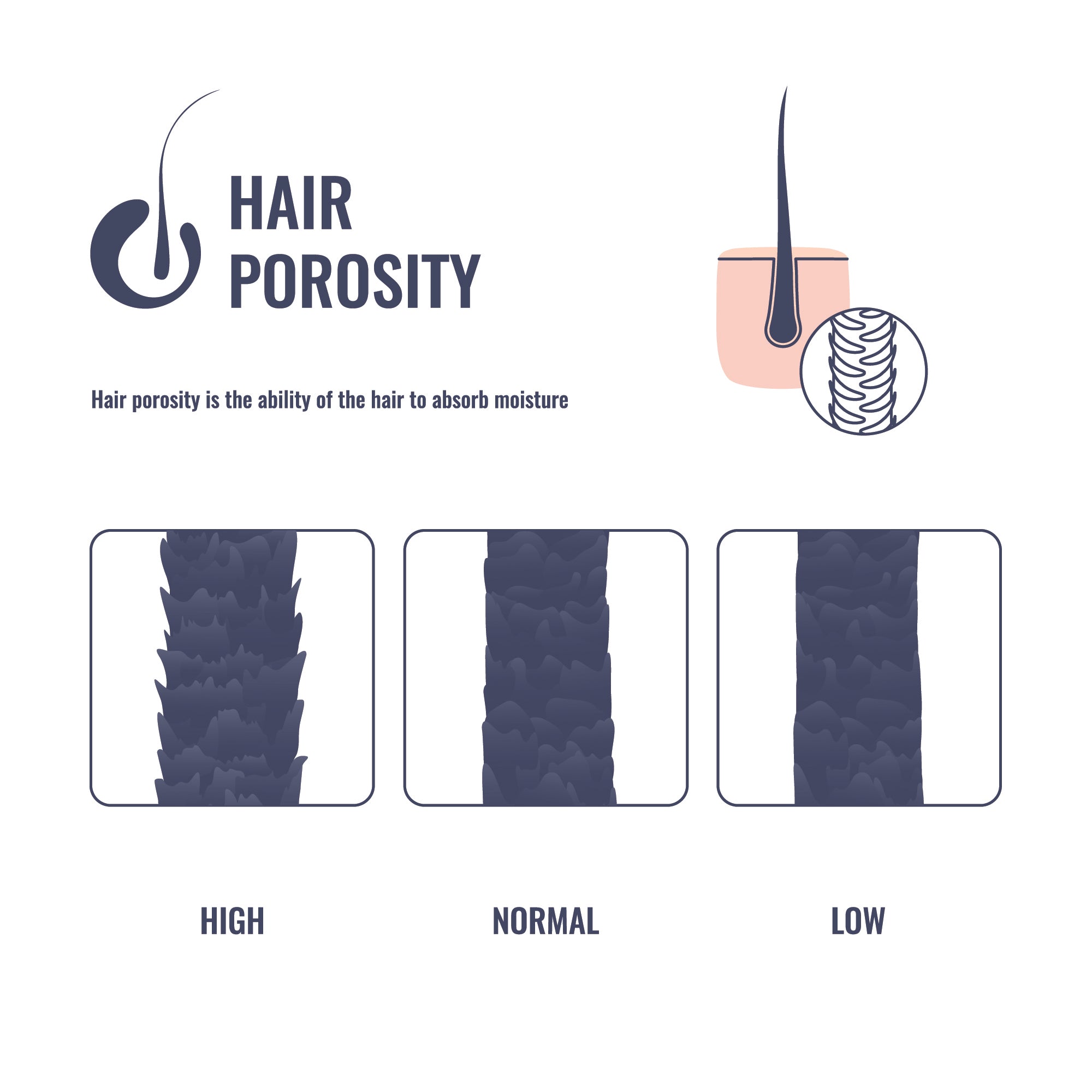 Hair Porosity: How to Determine Yours and Why It’s Important
