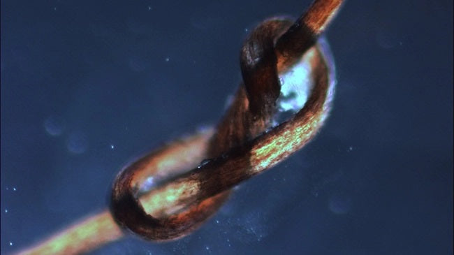 What are Single Strand Knots and How to Prevent Them?